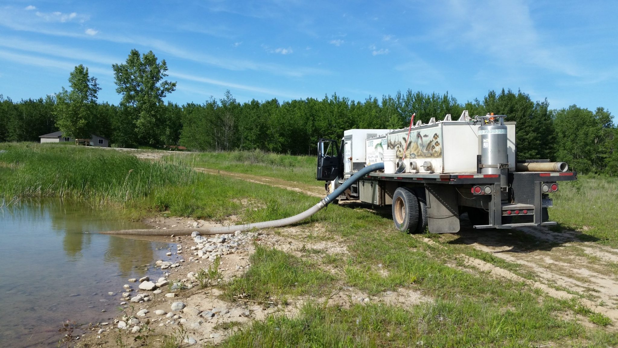 Developing a Fish Stocking Plan for your Pond or Lake | Harrietta Hills